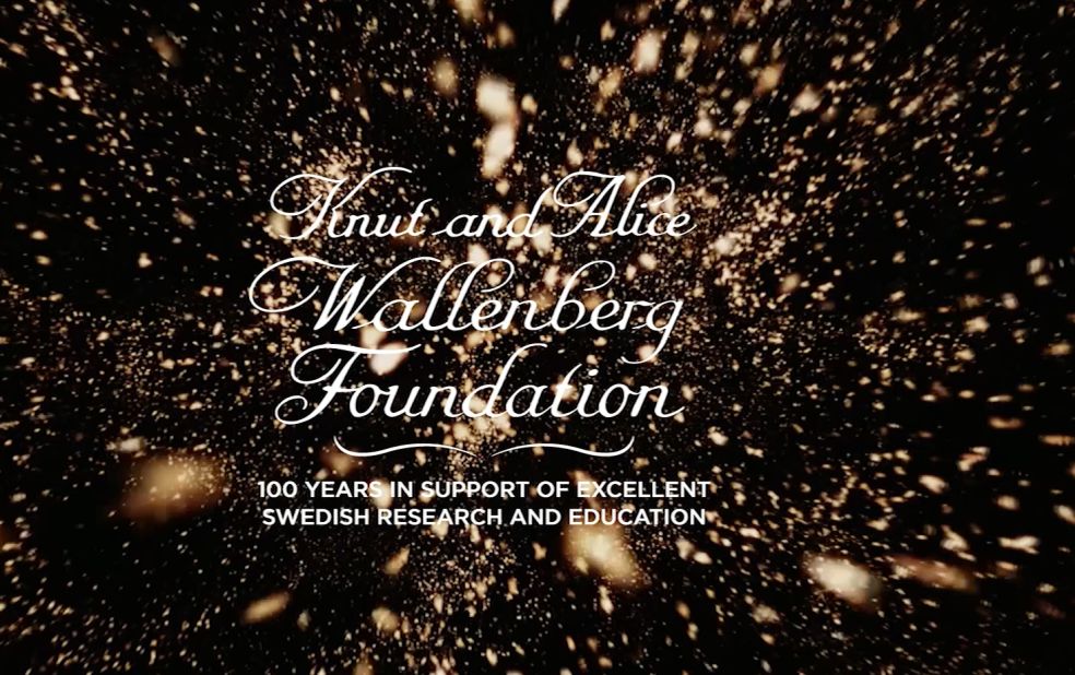 Knut and Alice Wallenberg Foundation 100 years | Knut and Alice ...
