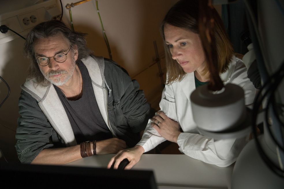 Intra-cell communication keeping us young | Knut and Alice Wallenberg ...