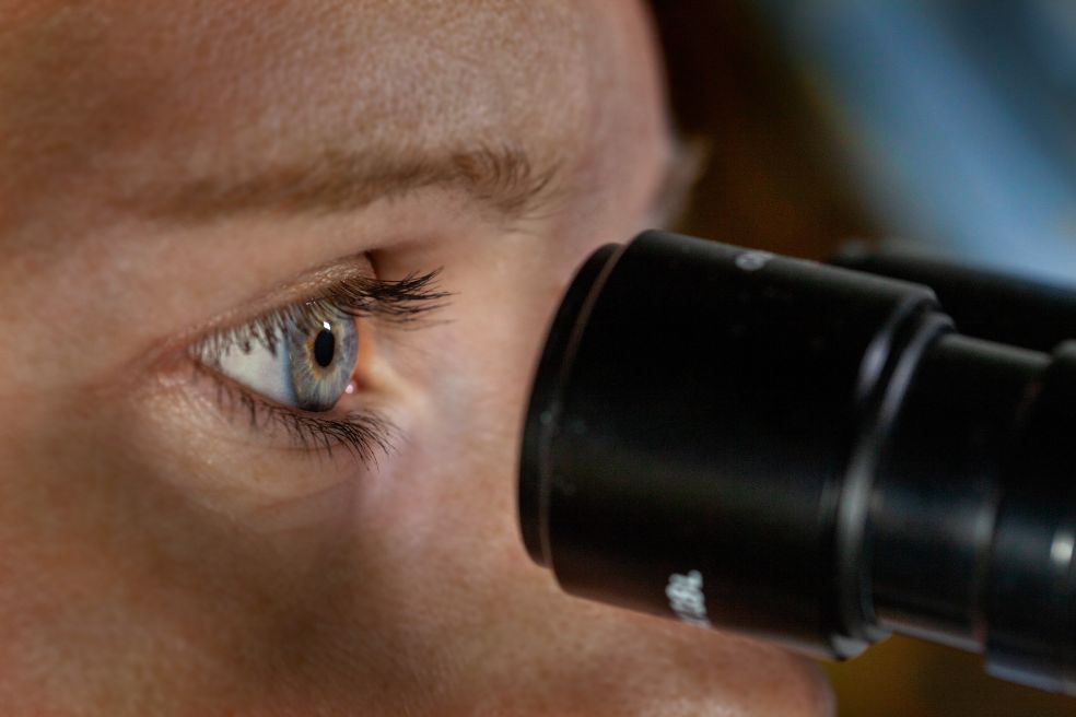 A new research field opens up – mitochondrial reproduction | Knut and ...