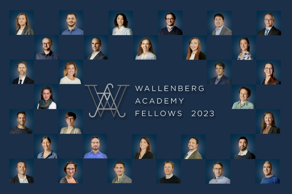 Wallenberg Academy Fellows tar sig an framtidens forskningsfrågor ...
