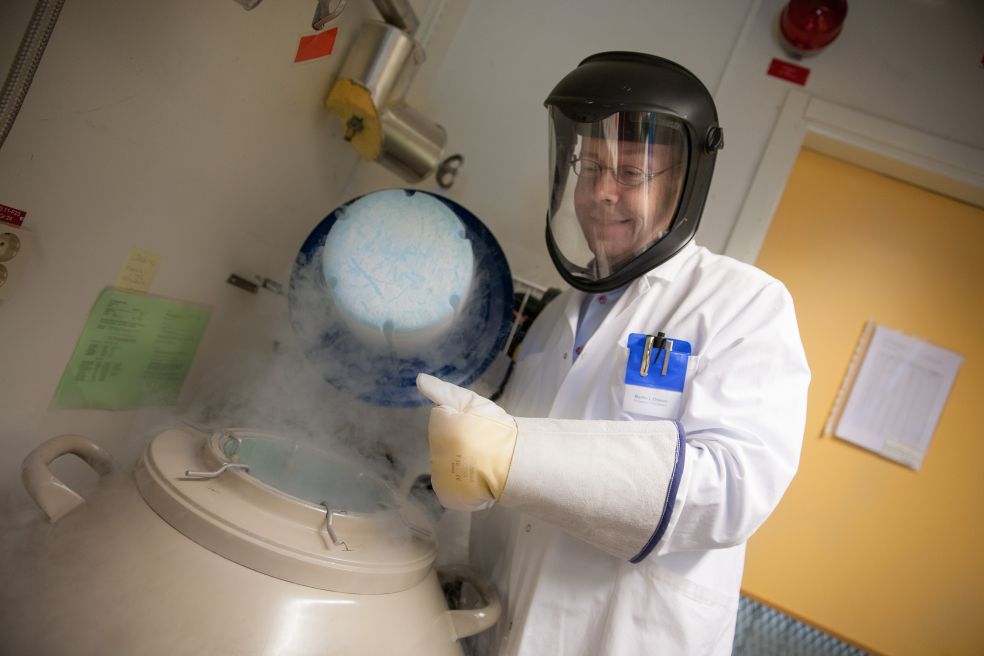 Wallenberg Clinical Scholars 2015 | Knut and Alice Wallenberg Foundation