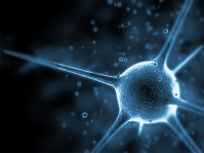 Knut and Alice Wallenberg Foundation | Knut and Alice Wallenberg Foundation