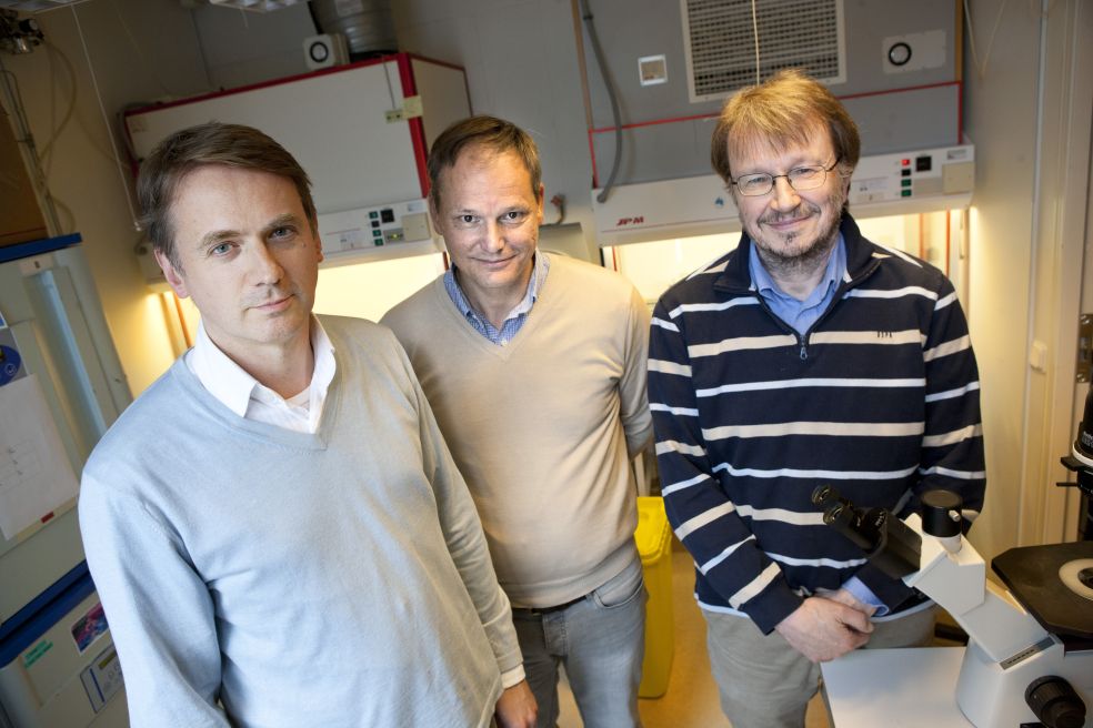 Epigenetics provides hope for more effective treatment of acute ...