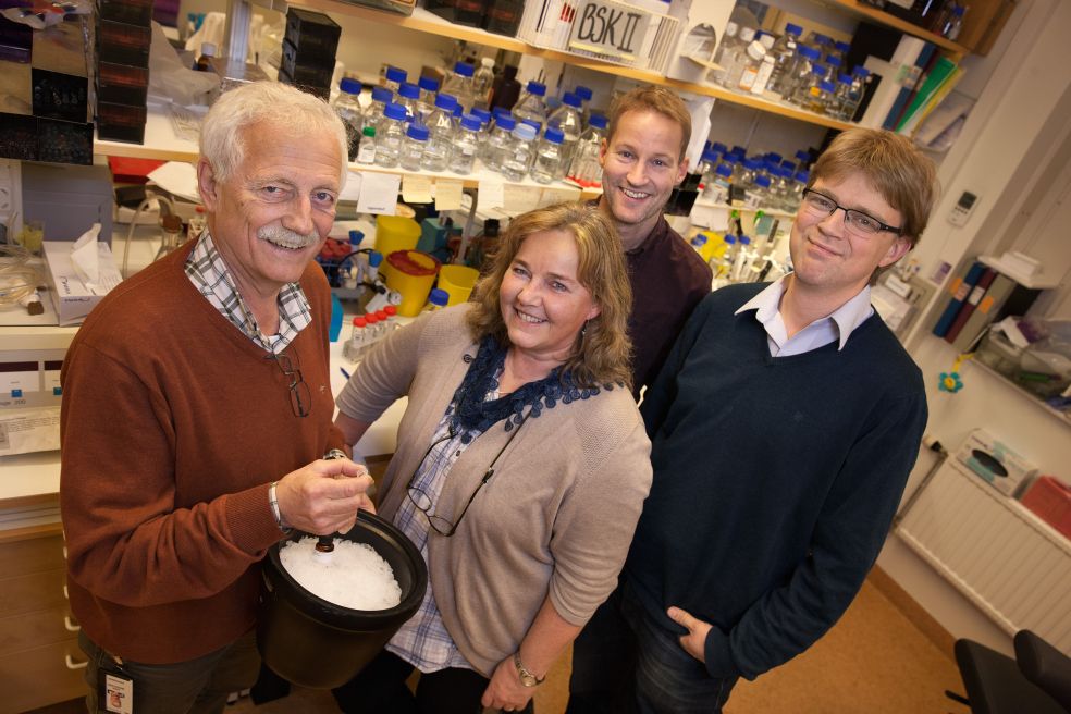 Molecules home in to disarm bacteria | Knut and Alice Wallenberg Foundation