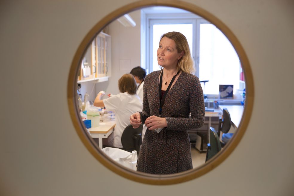 Hope for a new treatment against brain disorders | Knut and Alice ...