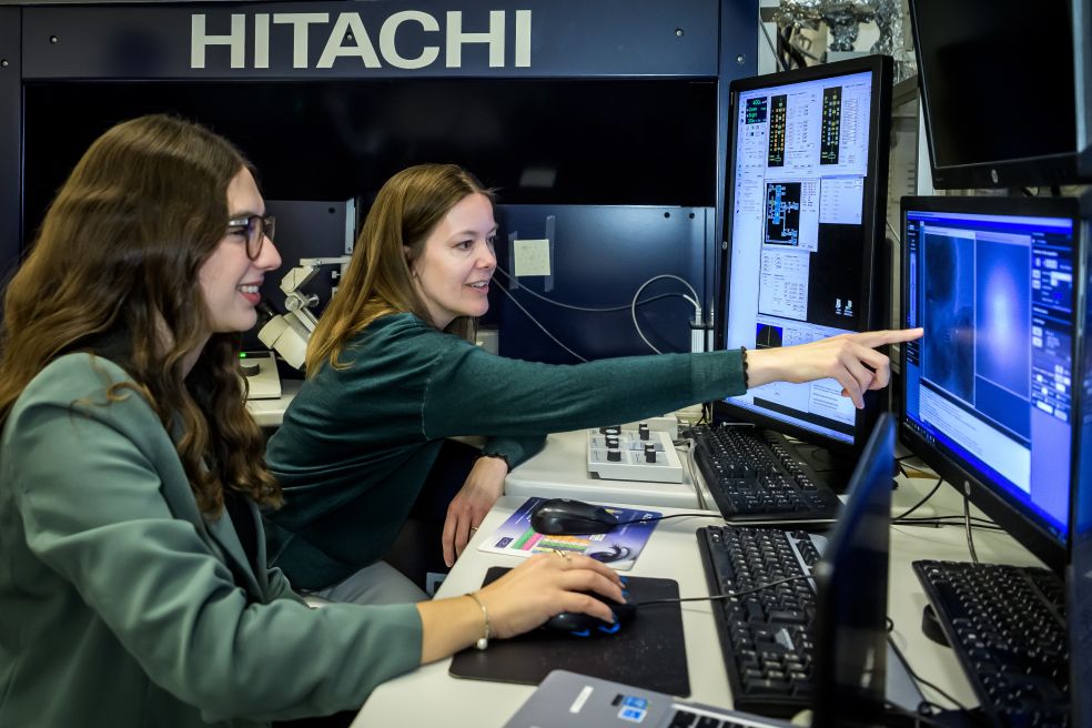 Nanoscale movies show how to build new materials | Knut and Alice ...