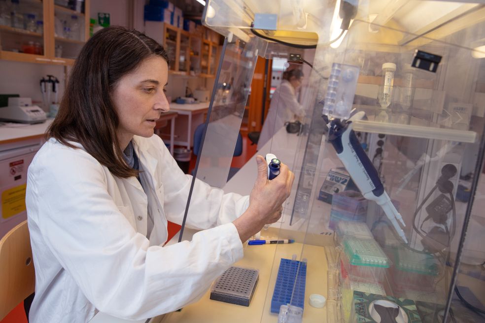 Vital symbiosis yields new insights on climate | Knut and Alice ...