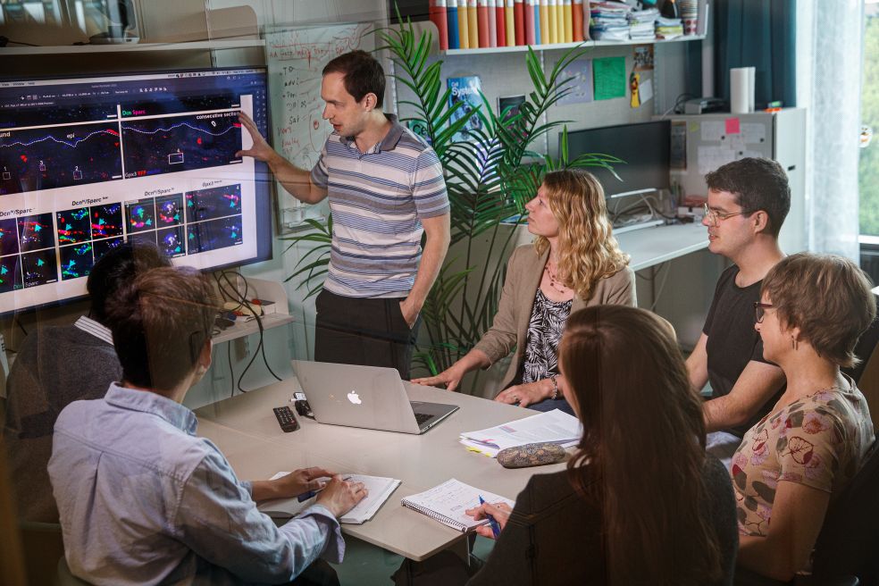 Controlling the decisions of stem cells | Knut and Alice Wallenberg ...