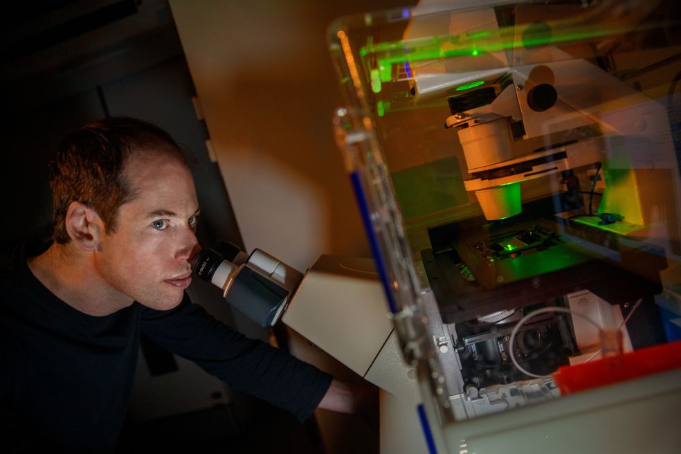 How viruses enter the body’s cells | Knut and Alice Wallenberg Foundation