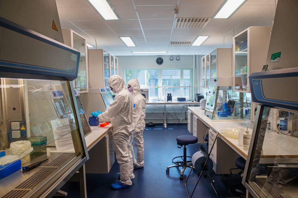 Exploring our first meeting with mammoths | Knut and Alice Wallenberg ...