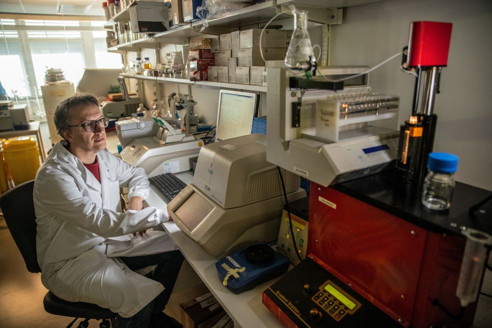 Controlling immune cells to fight cancer | Knut and Alice Wallenberg ...