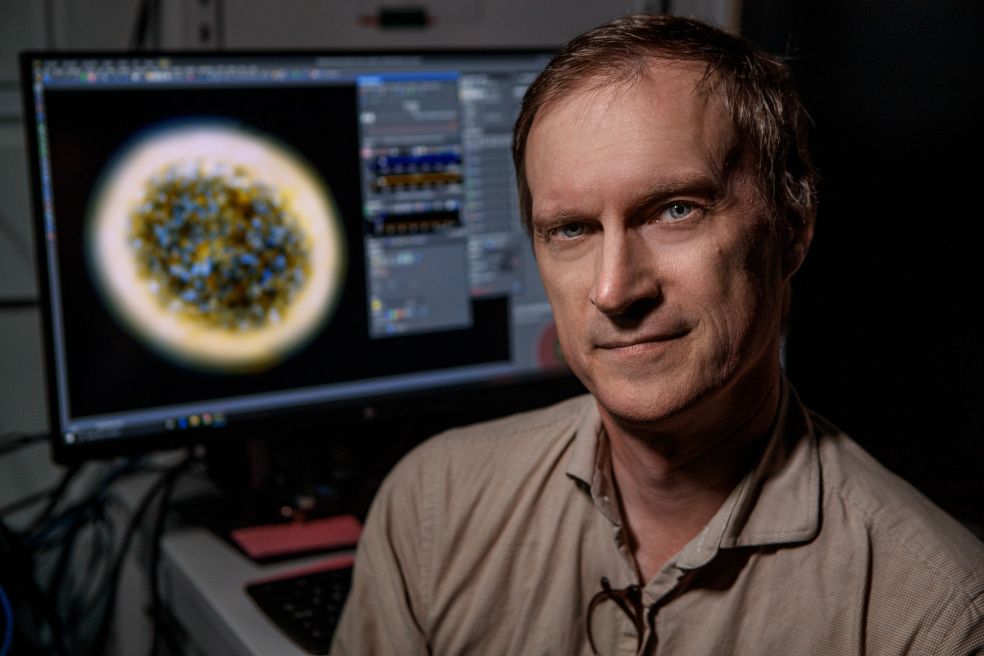 Cell atlas paves the way for new brain cancer therapies | Knut and Alice Wallenberg Foundation