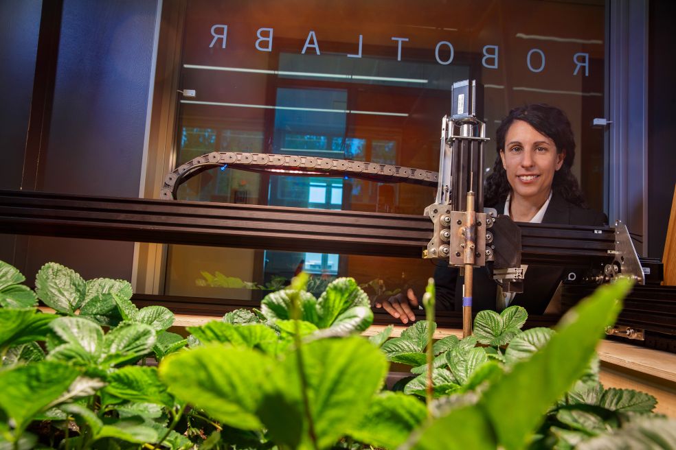 Curiosity and play helping AI robots to learn better | Knut and Alice ...