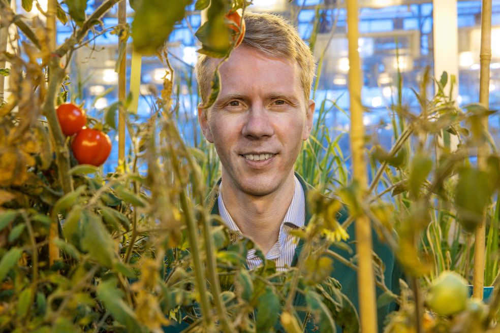 Fight or heal – how do plants know what is best for them? | Knut and ...
