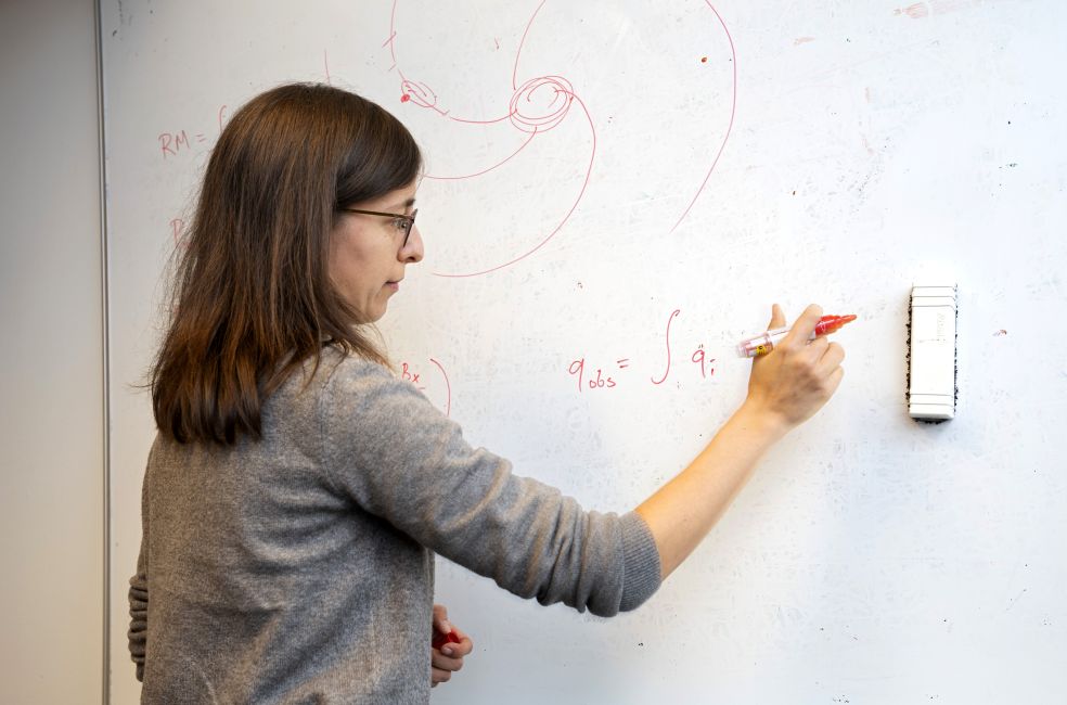 Mapping footprints in the magnetic field of the Milky Way | Knut and ...