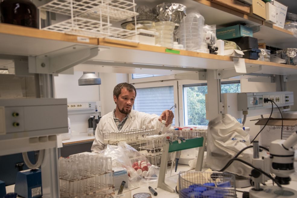 Hidden soil life impacts climate change | Knut and Alice Wallenberg ...