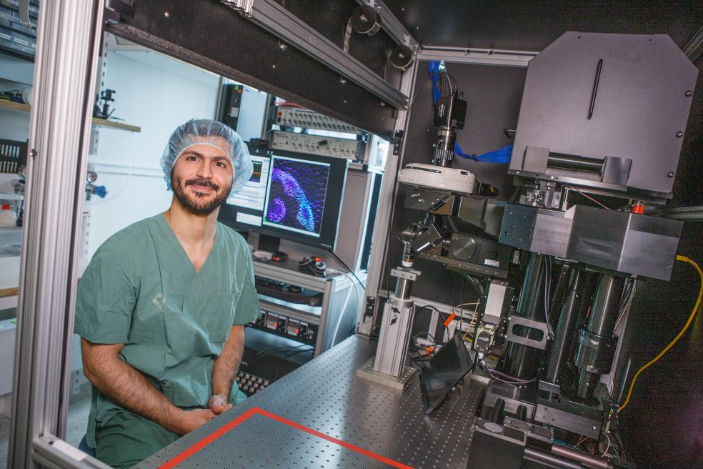 Exploring the Neural Architecture of the Brain | Knut and Alice ...