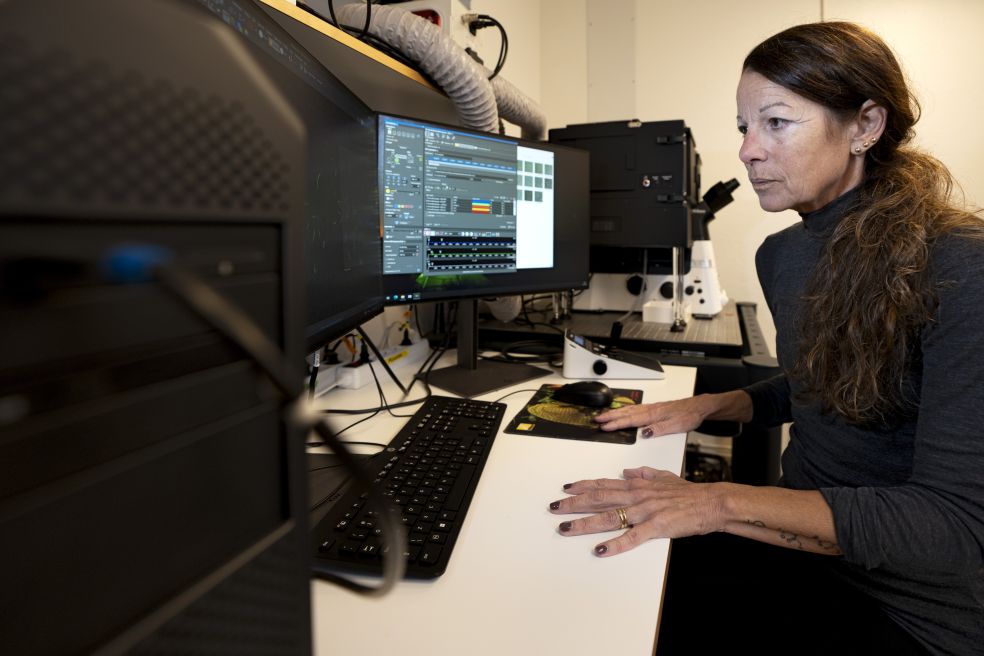 Taking new approaches in the fight against dementia | Knut and Alice ...