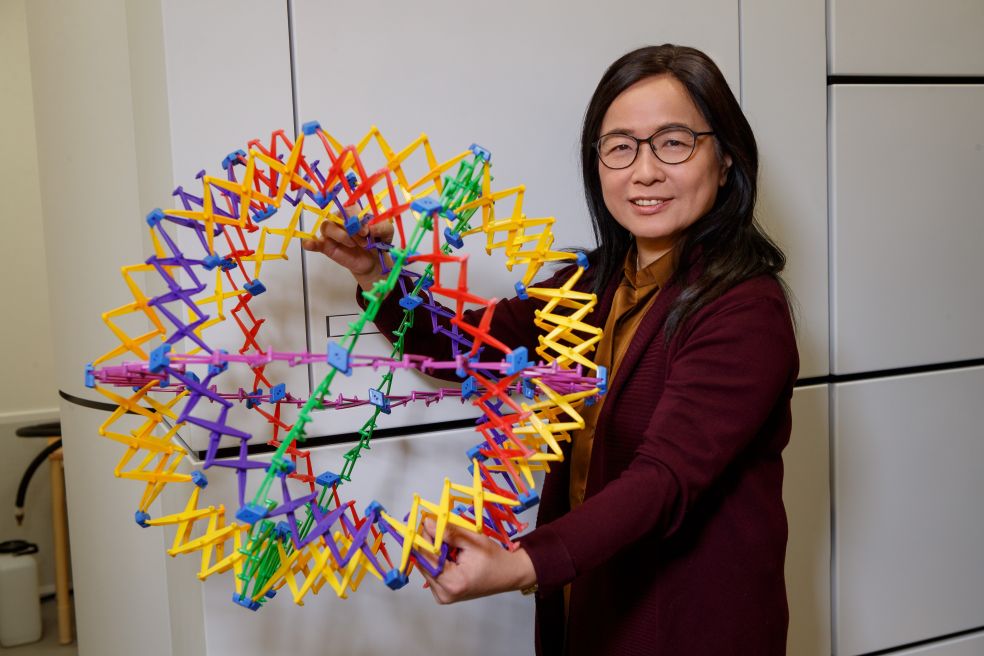 Three-dimensional images enhance our molecular understanding of nature ...