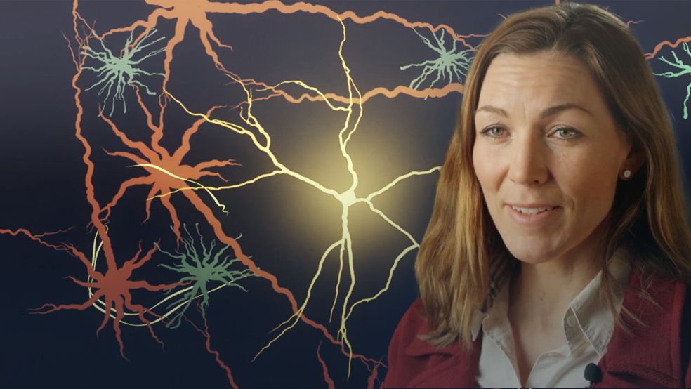 Research paving the way for new treatments for epilepsy, schizophrenia ...