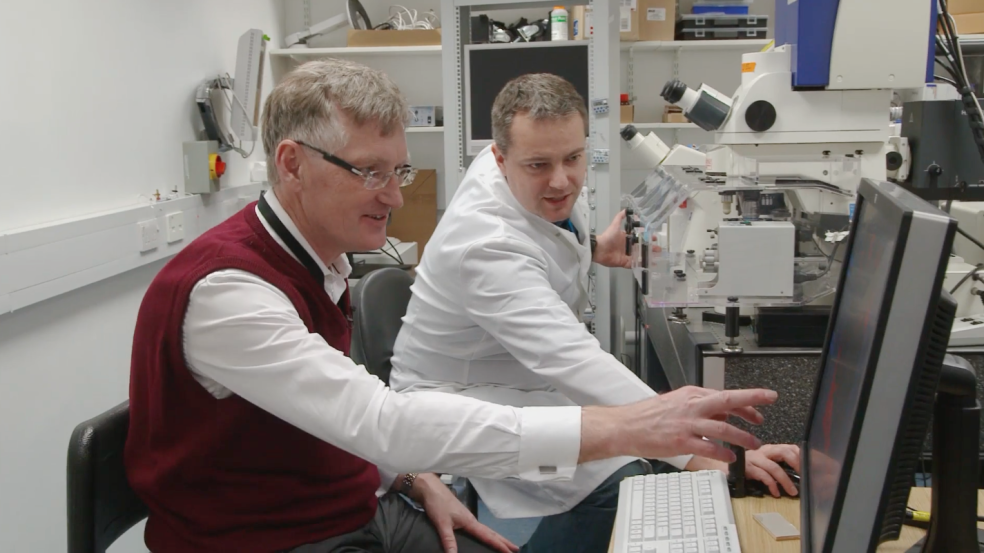 Diabetes – what goes wrong? | Knut and Alice Wallenberg Foundation