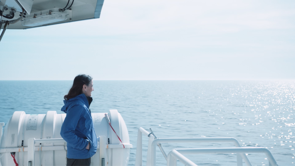 Plankton – important for the climate | Knut and Alice Wallenberg Foundation