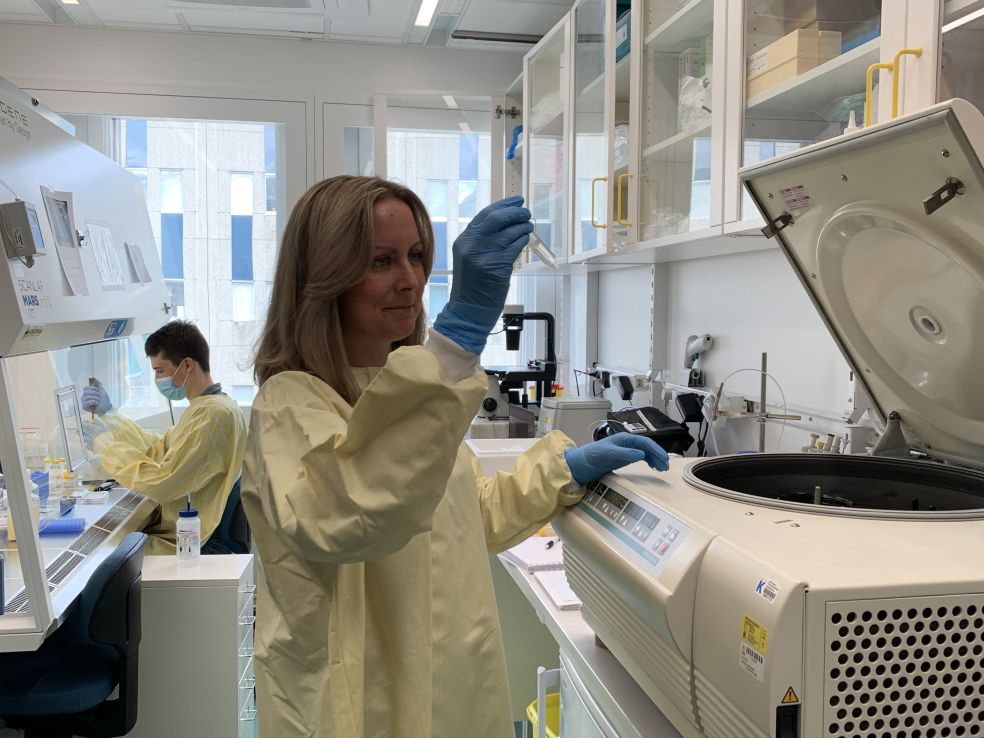 A better understanding of inflammatory bowel disease | Knut and Alice ...