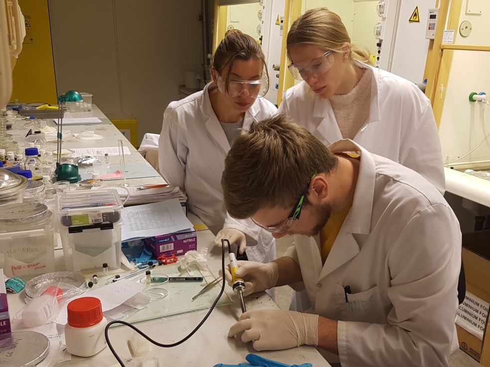 Ombyggda järnmolekyler ska ge miljövänlig solenergi | Knut och Alice ...
