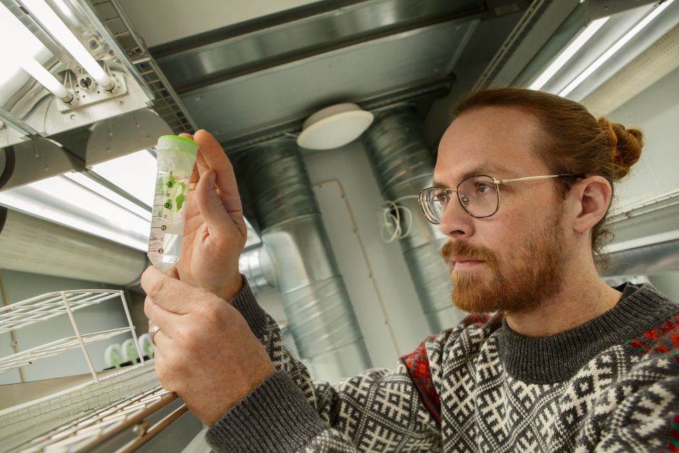 Bacteria helping crops to thrive | Knut and Alice Wallenberg Foundation