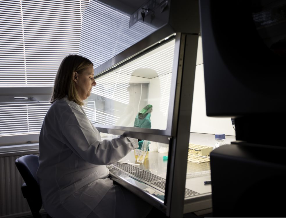 Disease and ageing due to mitochondrial DNA | Knut and Alice Wallenberg ...