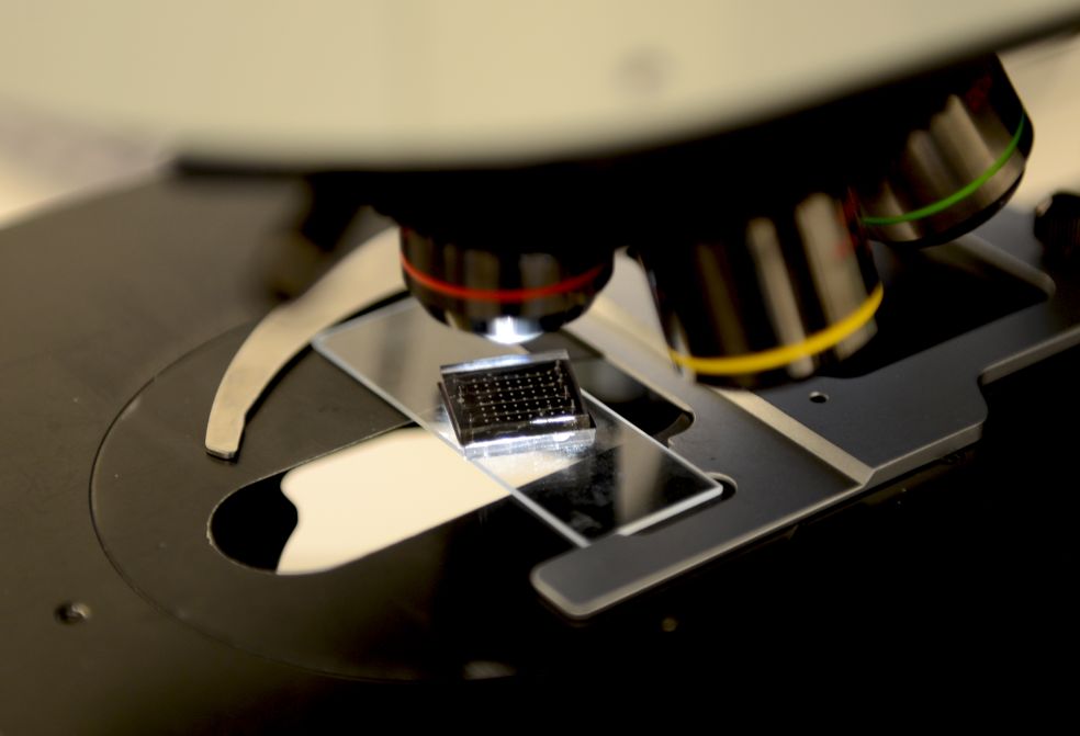 Lab of the future on a biochip | Knut and Alice Wallenberg Foundation