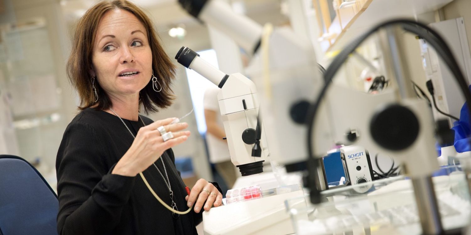 Dålig städning påverkar diabetes, fetma och neurodegenerativa sjukdomar ...