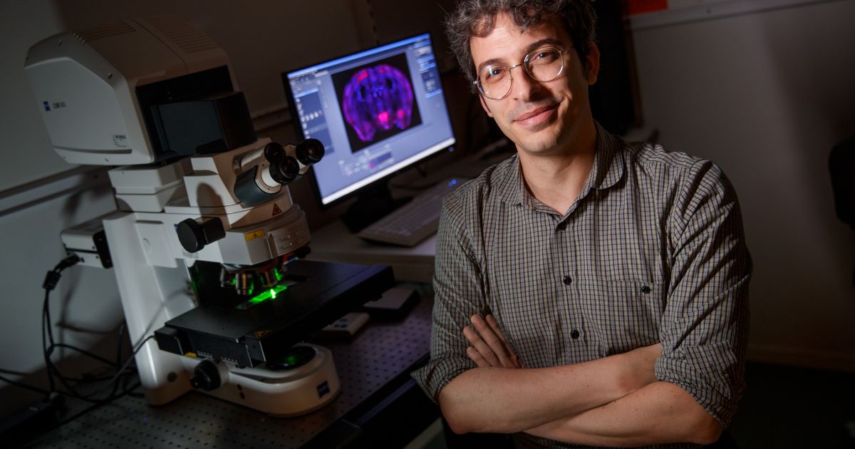 Seeking out nerves that regulate body weight | Knut and Alice ...