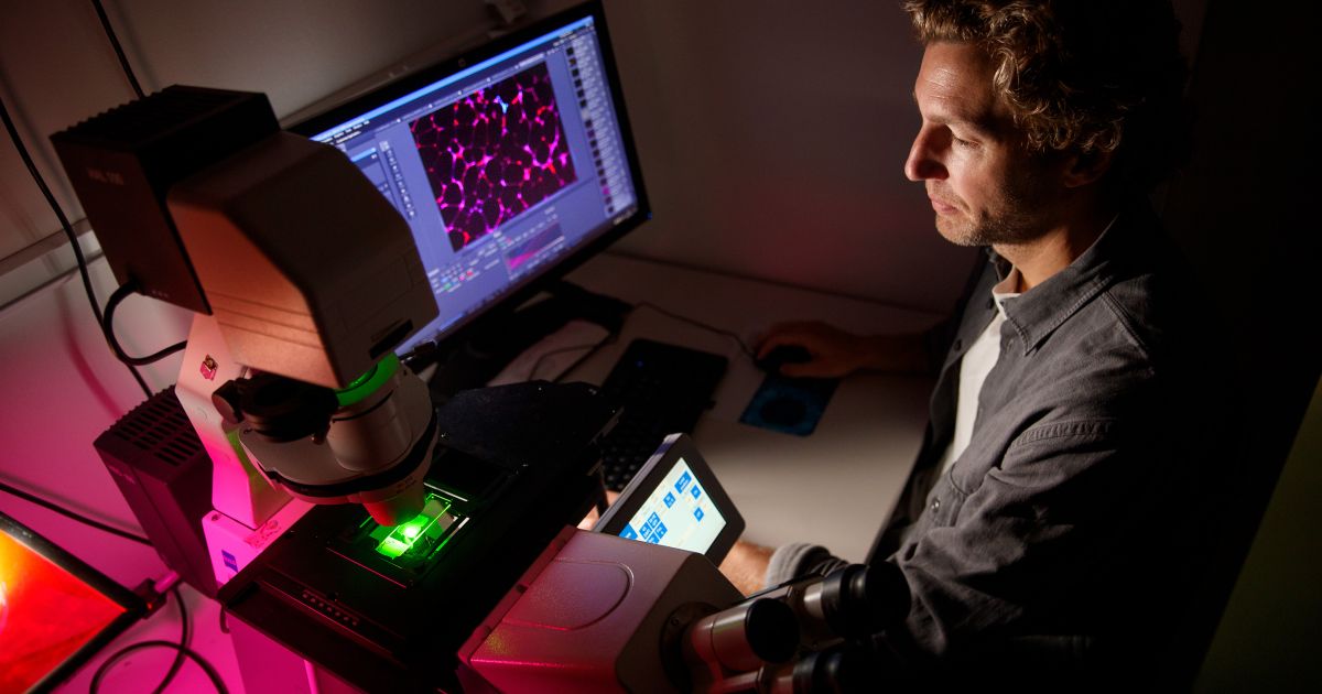 Revealing the unknown functions of fat cells | Knut and Alice ...