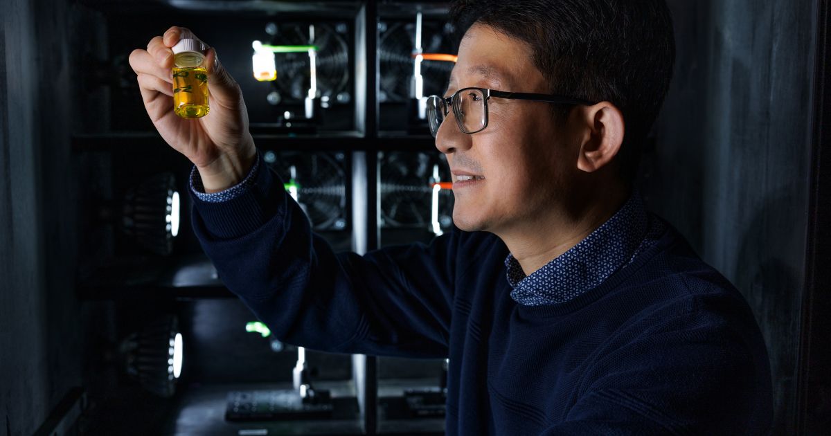 Organic nanocrystals transforming sunlight into storable energy | Knut ...