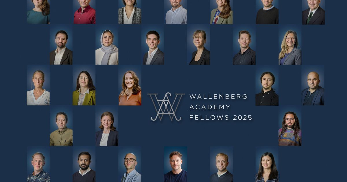 Långsiktiga forskningsanslag till 27 nya Wallenberg Academy Fellows ...