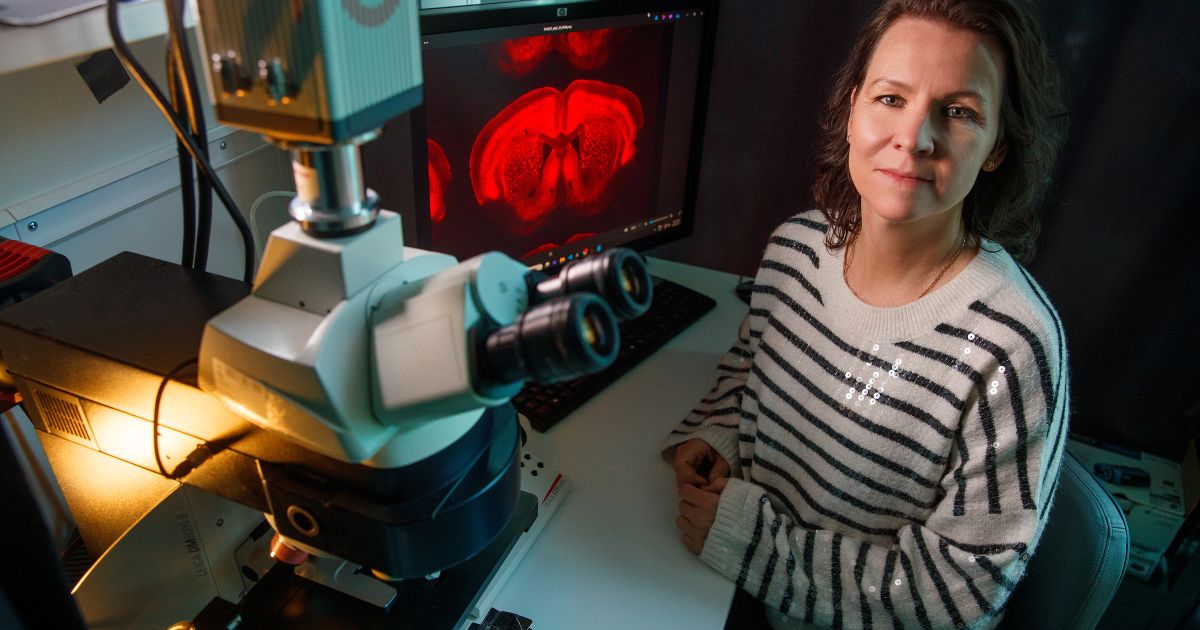 A new map of the brain to reveal our thinking | Knut and Alice ...