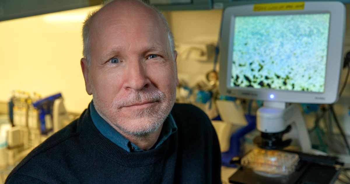 Seeking new ways to fine-tune our immune system | Knut and Alice ...