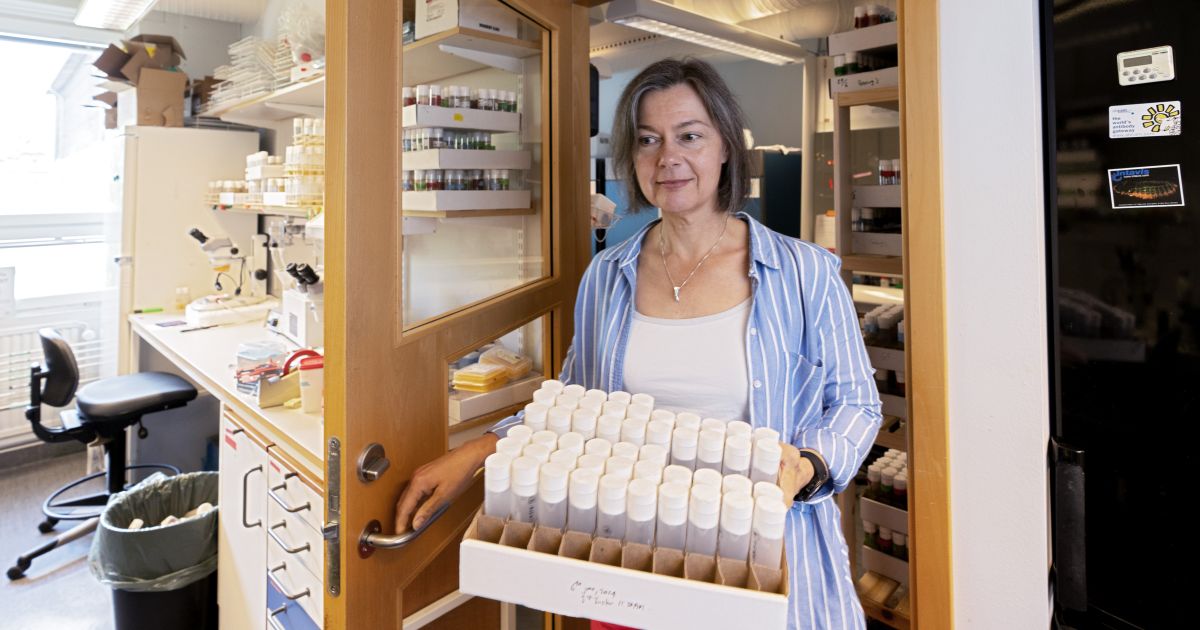 Spotlight on a key molecule to cure children’s cancer | Knut and Alice ...