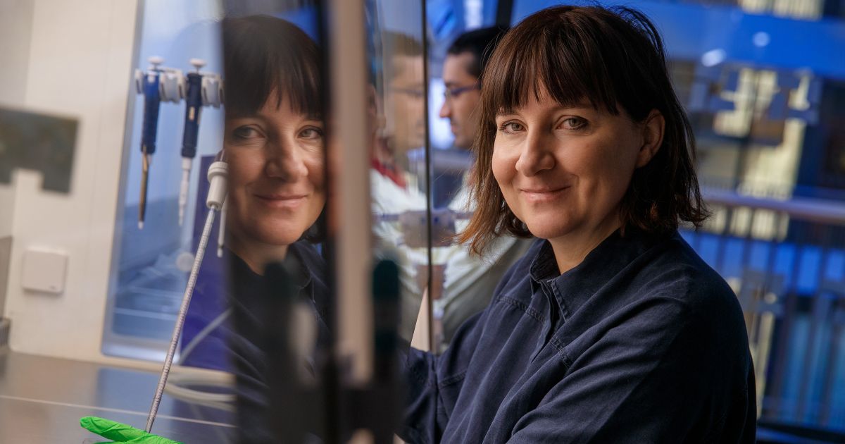 Mitochondrial protein factories yield new insights into our health ...