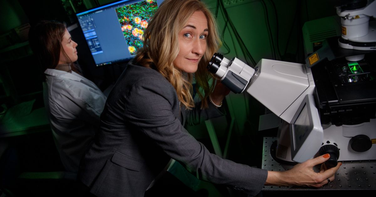 Breaking new ground in pain research | Knut and Alice Wallenberg Foundation