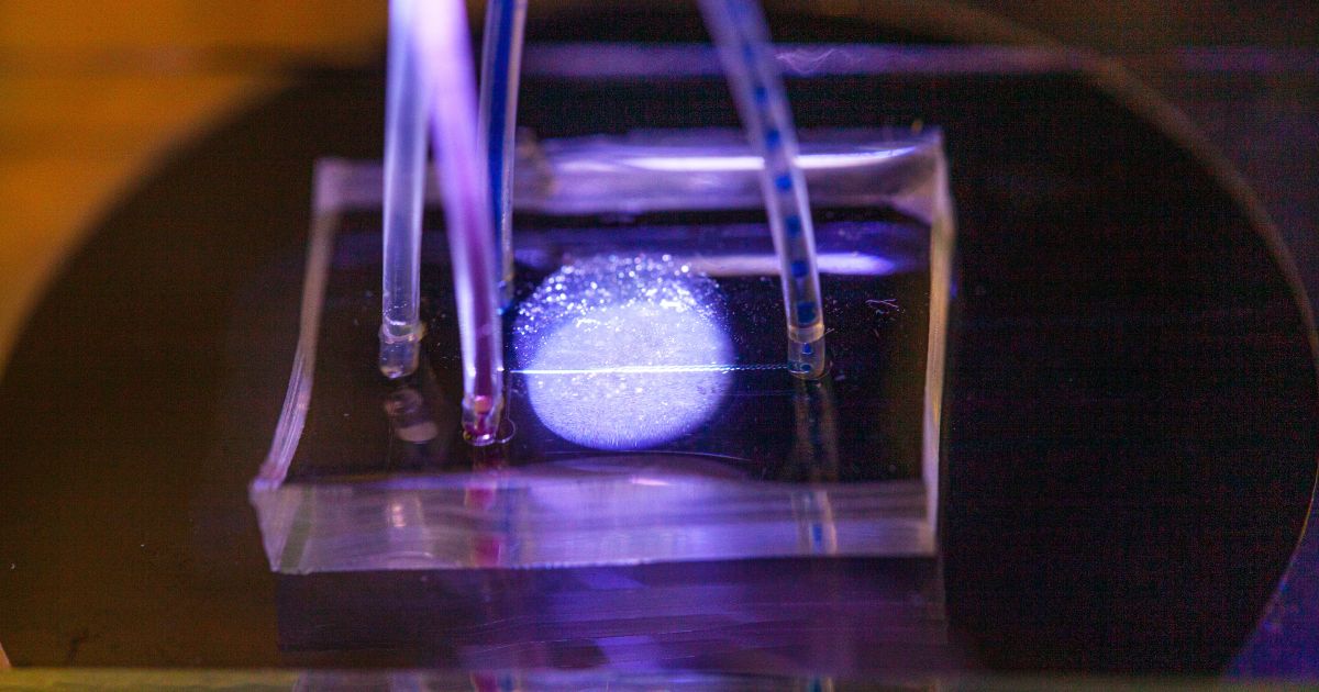 Projektanslag 2024 | Knut och Alice Wallenbergs Stiftelse