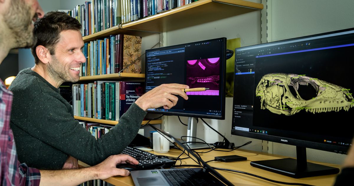 Hur en art blir bra på evolution | Knut och Alice Wallenbergs Stiftelse