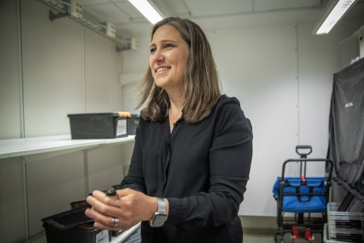 Knut and Alice Wallenberg Foundation