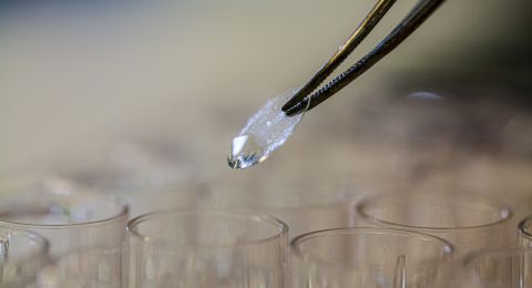 Startsida | Wallenbergstiftelserna