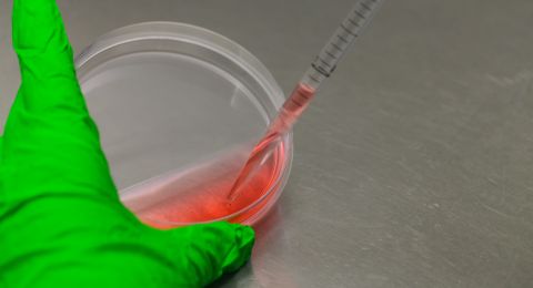 Startsida | Wallenbergstiftelserna